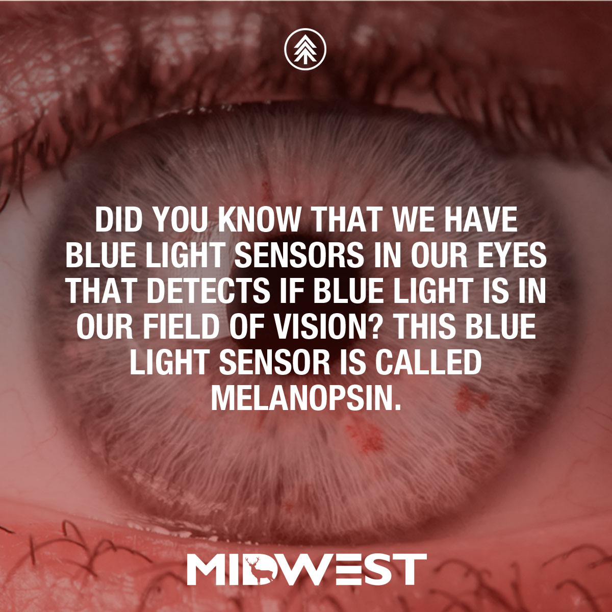 Melanopsin – Midwest Red Light Therapy